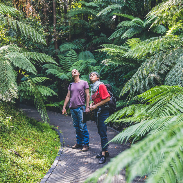 2018 – Craft + Design Canberra