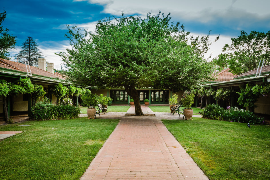 2025 CRAFT + DESIGN CANBERRA UNDERCURRENT DESIGN MARKET FINDS A NEW HO – Craft + Design Canberra