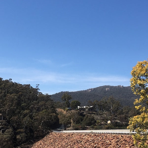 Three artists leap into Spring at Corin House, Namadgi – Craft + Design ...