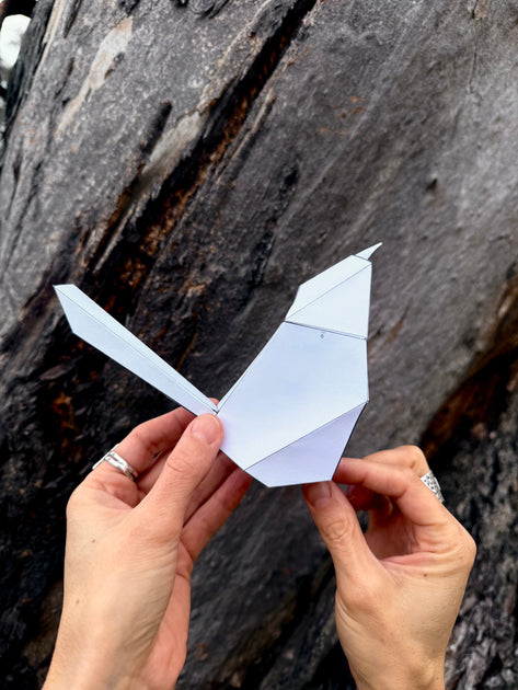 WORKSHOP | Stories from the Wetlands: Australia and Chile Paper Toy Wo ...