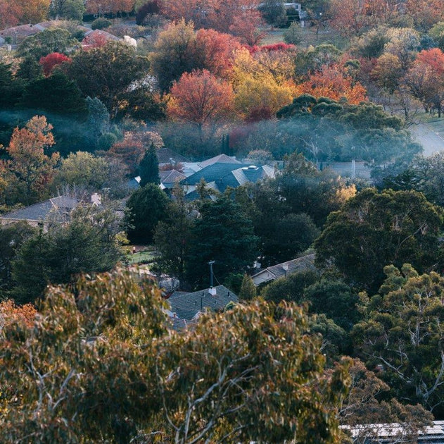 This Is Suburbia – Craft + Design Canberra