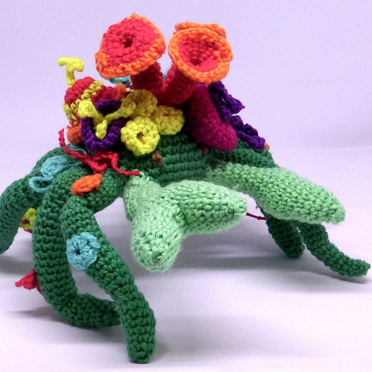 48. Decorator Crab by Megan Munro – Craft + Design Canberra