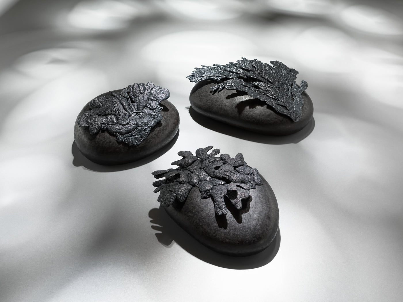 Craft + Design Canberra – Craft + Design Canberra