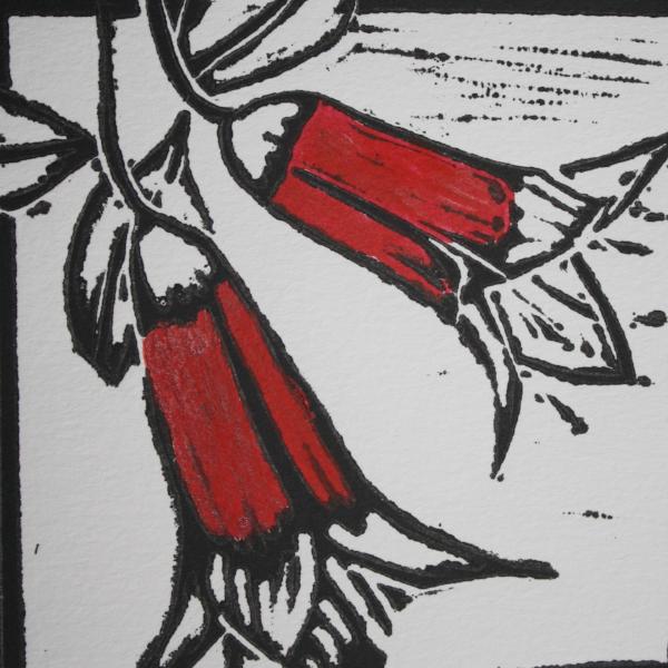 Correa (Black Ink on White Paper) – Craft + Design Canberra